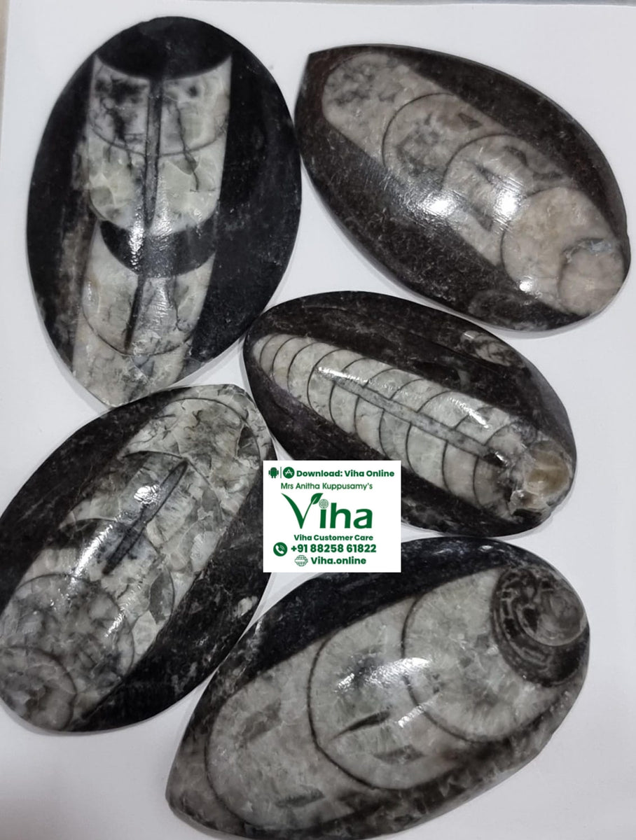 Kuber Stone (orthoceras stone) – Viha Online
